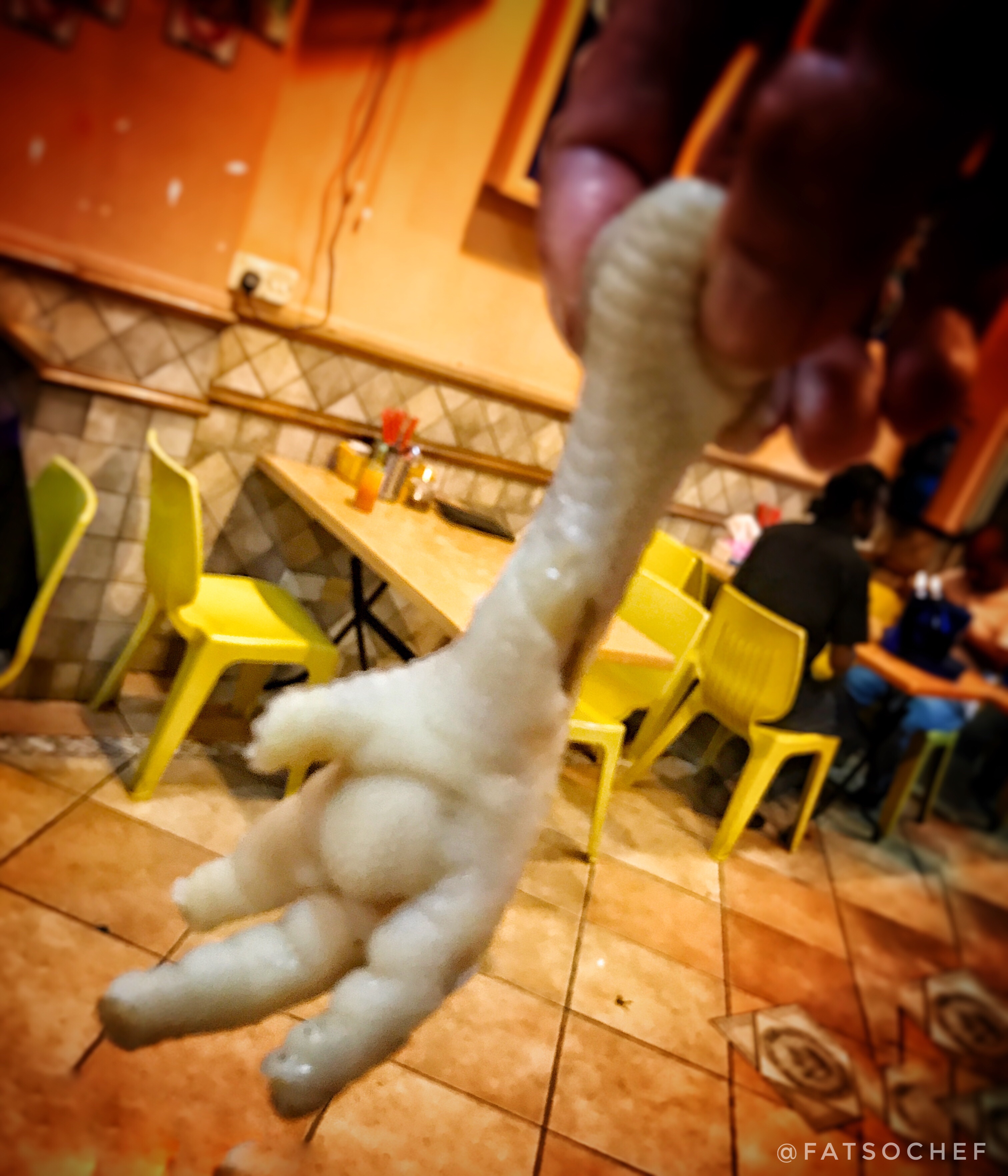 img_6663 – fatsochef
