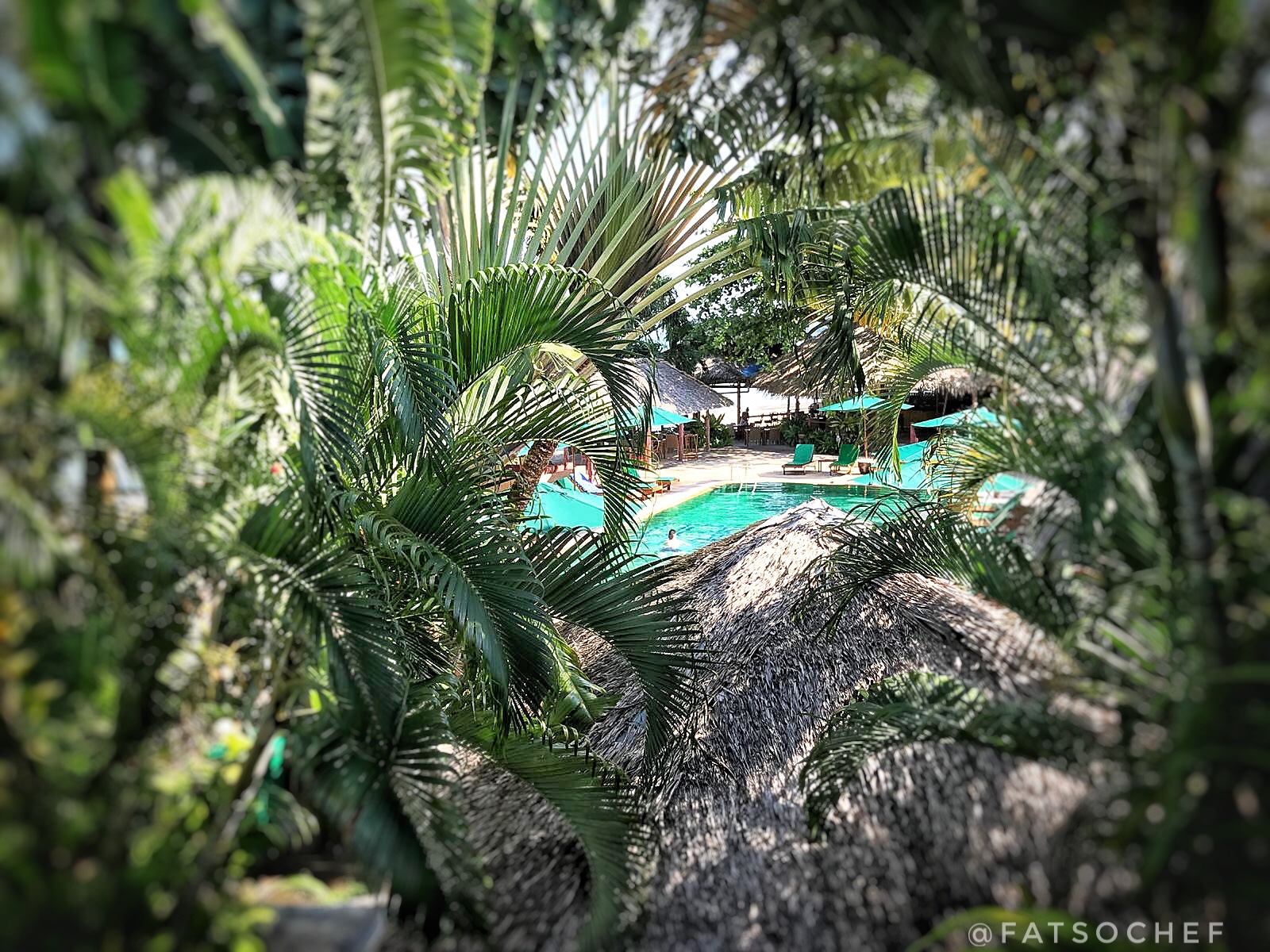 img_3829 – fatsochef